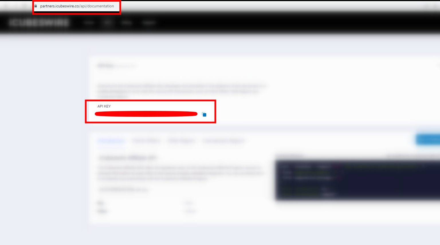 iCubesWire Affiliate Network | Find Publisher ID | Website ID | Client ID